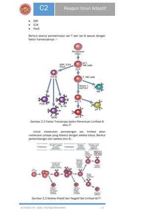 Discussion Notes 2 : Respon Imun Adaptif | PDF