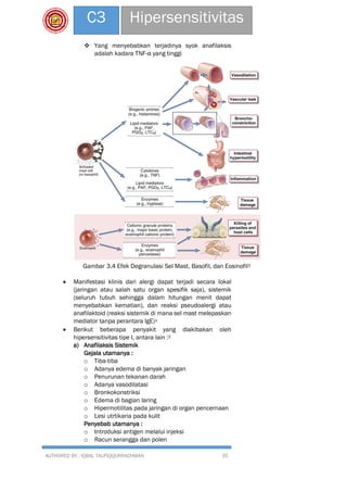 QBD 3 Hipersensitivitas | PDF