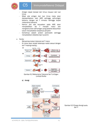 Discussion Notes 6 - Autoimun | PDF