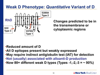 Session 1 - Clinical Significance of RhD | PDF