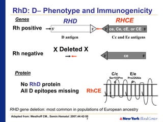 Session 1 - Clinical Significance of RhD | PDF