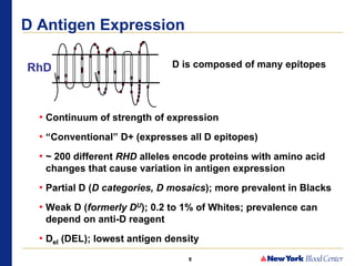 Session 1 - Clinical Significance of RhD | PDF