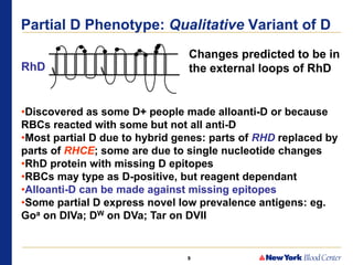 Session 1 - Clinical Significance of RhD | PDF