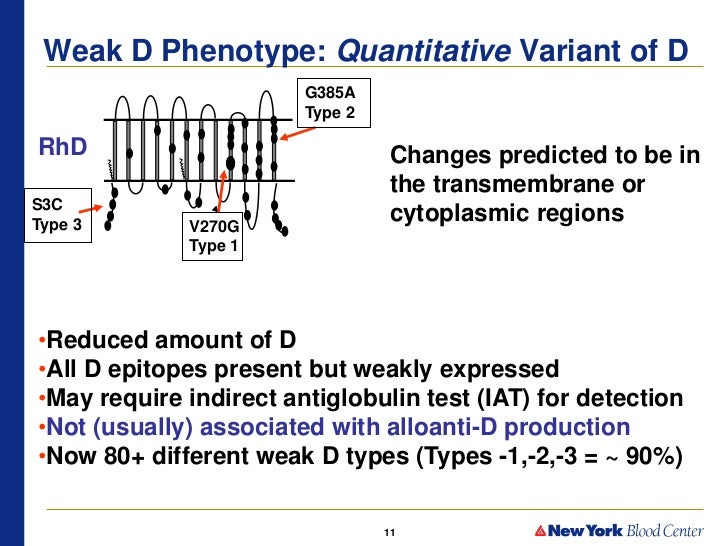 Session 1 - Clinical Significance of RhD