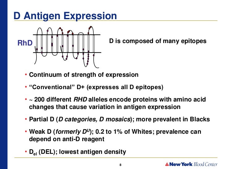 Session 1 - Clinical Significance of RhD