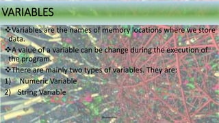 Qbesic programming class 9 | PPTX | Programming Languages | Computing