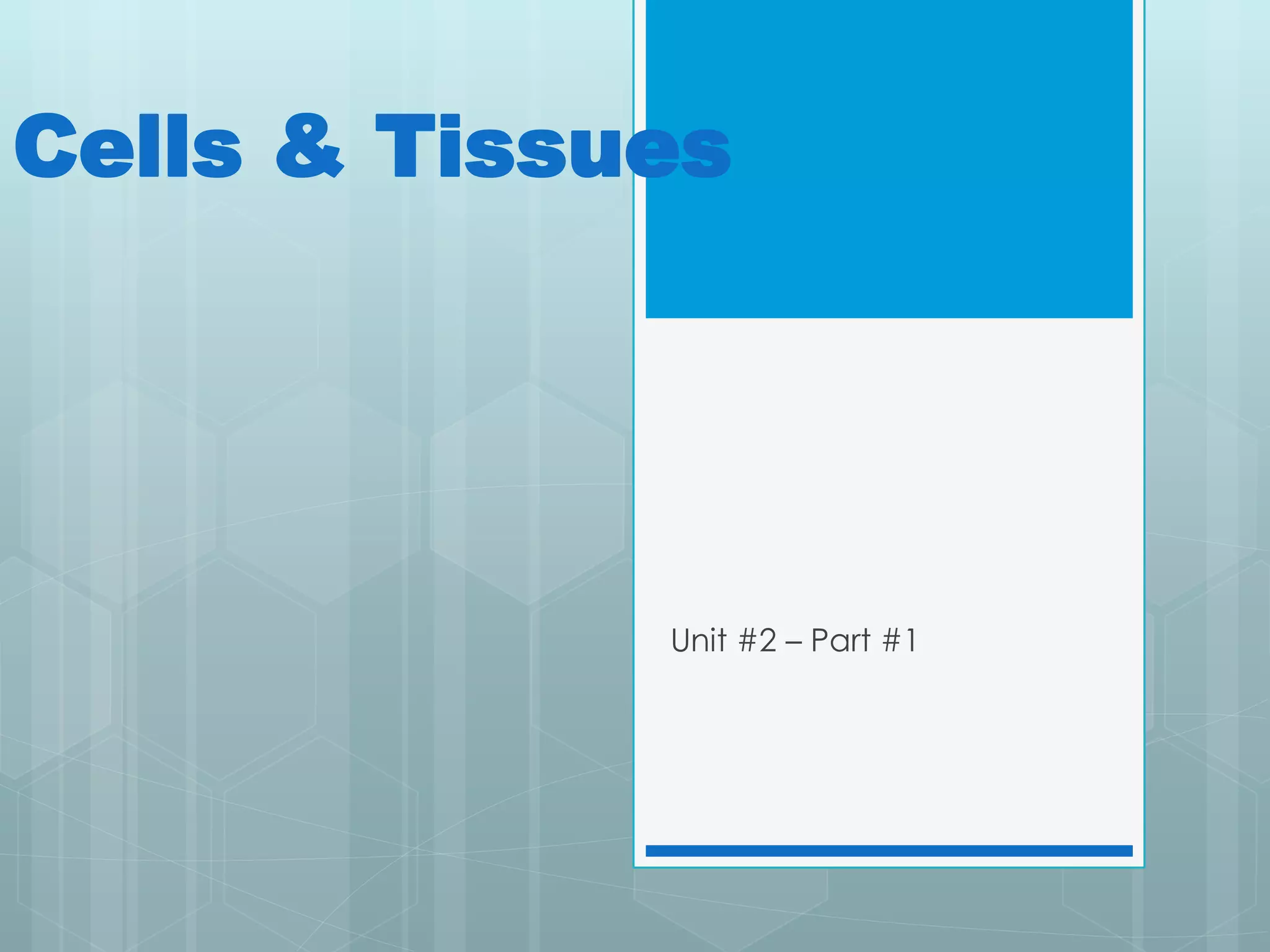 A&P Cells & Tissues Unit # 2 | PPT