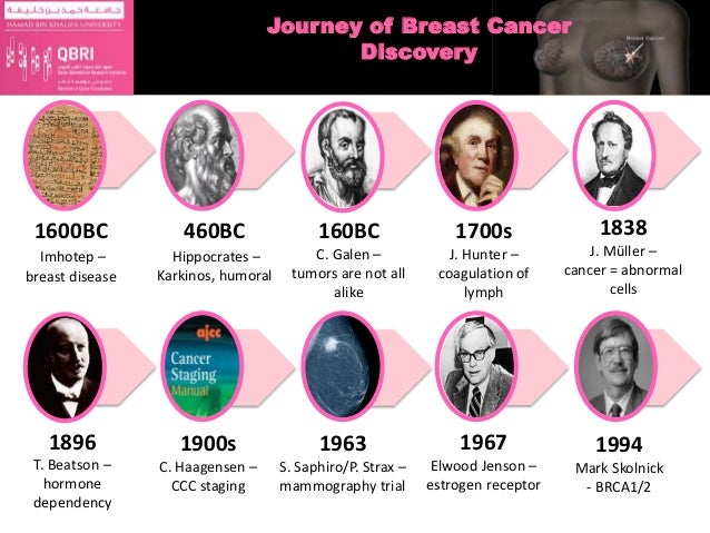 The Journey Of Breast Cancer Discovery And Research October 2015 Aw…