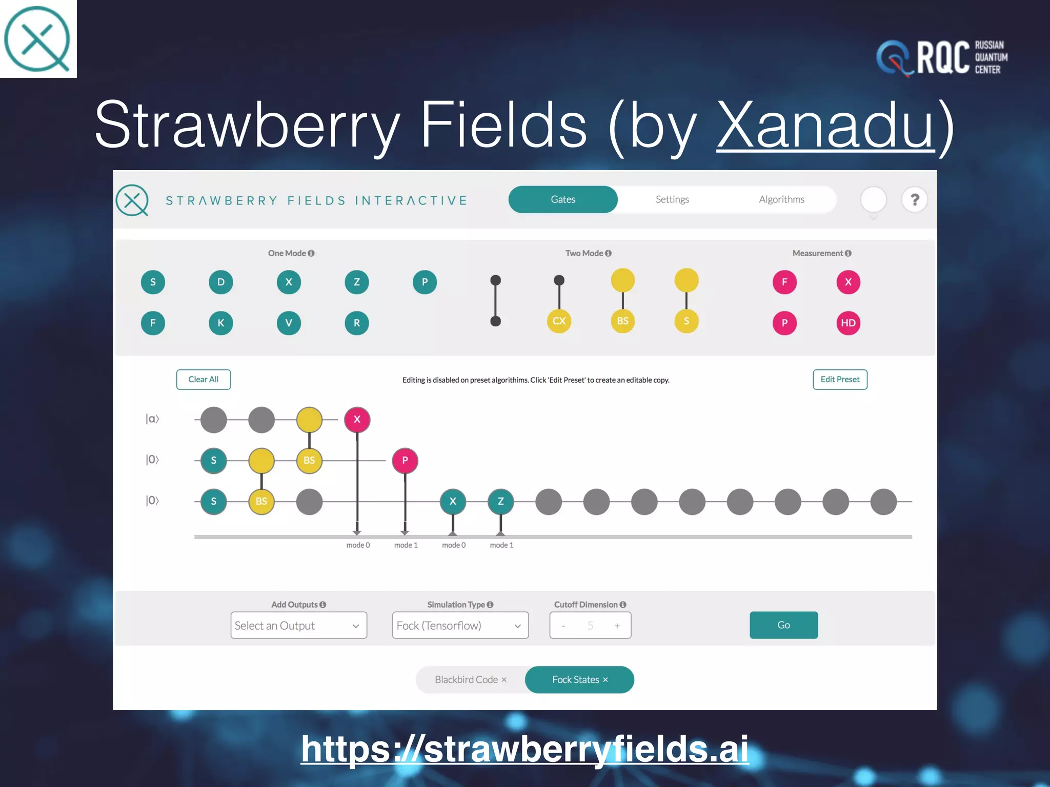 Programming Existing Quantum Computers Ppt