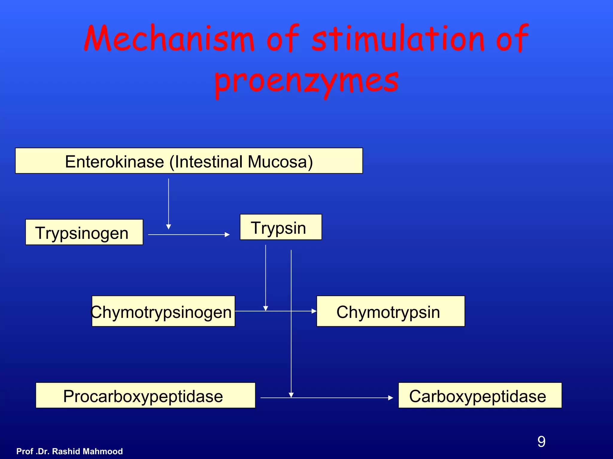 Stages & regulation of pancreatic secretion | PPT