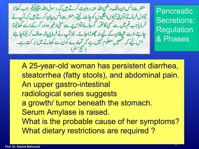 Stages & regulation of pancreatic secretion | PPT