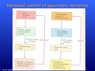 Stages & regulation of pancreatic secretion | PPT