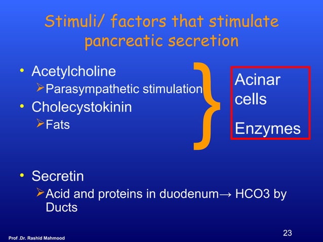 Stages & regulation of pancreatic secretion | PPT