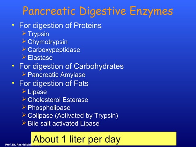 Stages & regulation of pancreatic secretion | PPT