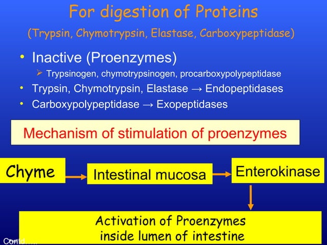 Stages & regulation of pancreatic secretion | PPT