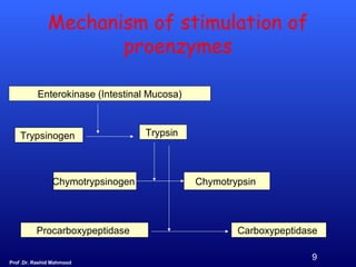 Stages & regulation of pancreatic secretion | PPT