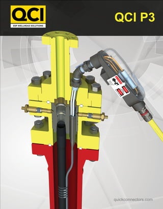 Qci p3-brochure | PDF