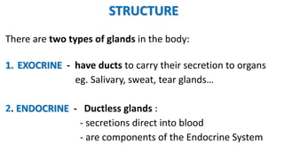 Qci endocrine system yogic corelation | PPTX