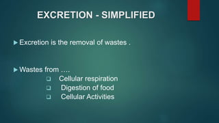 Qci excretory system | PPTX