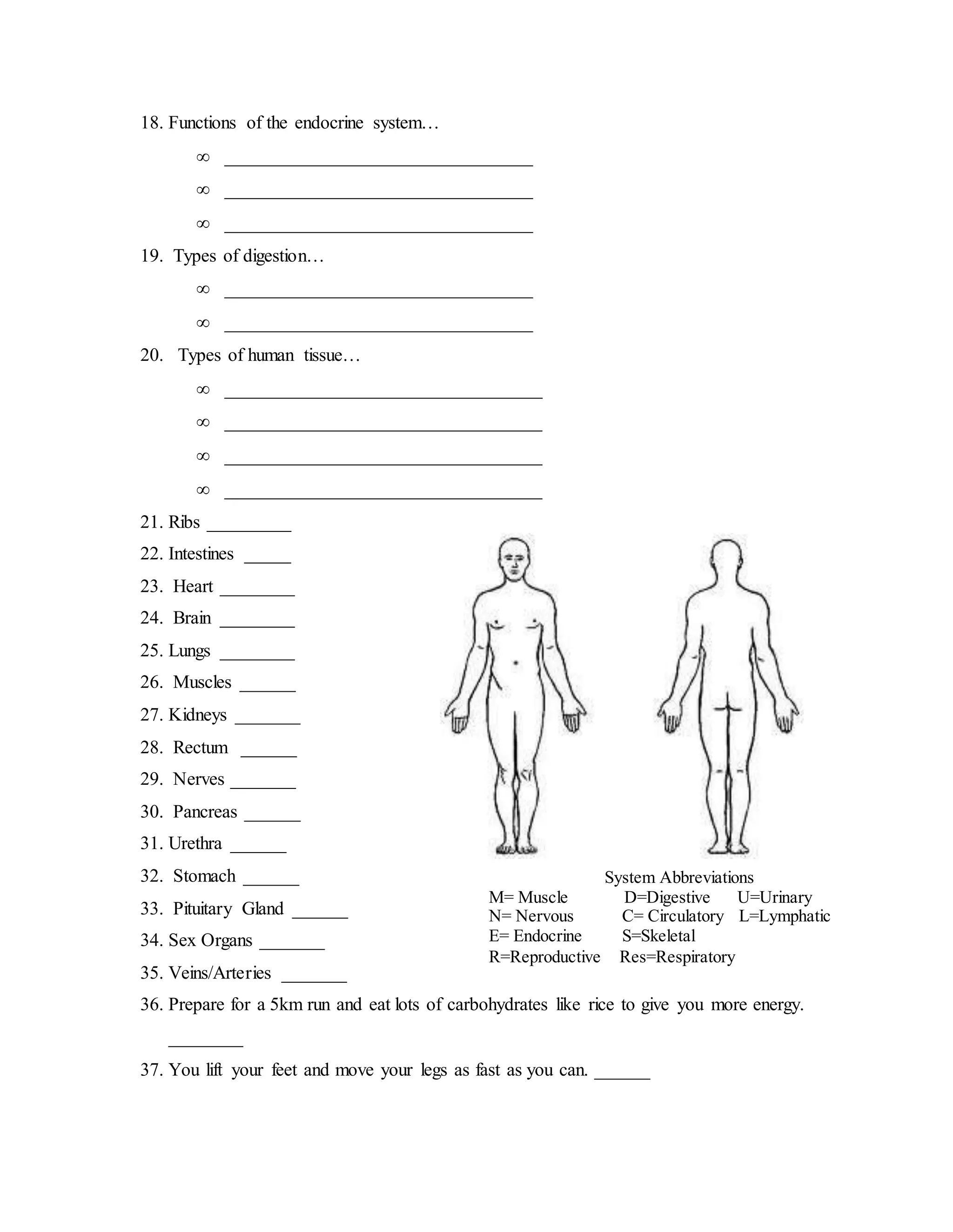 Human Anatomy Pre/Post Assessment | DOCX