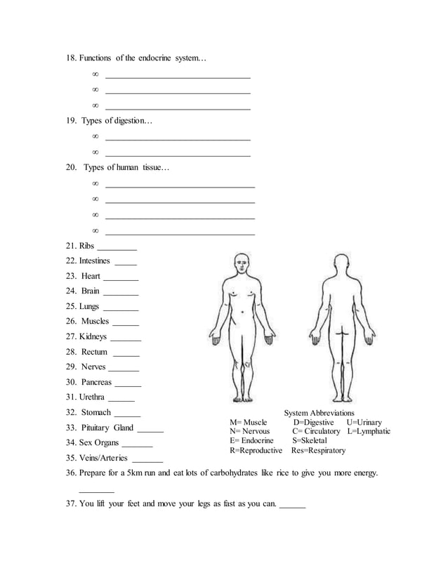 Human Anatomy Pre/Post Assessment | DOCX