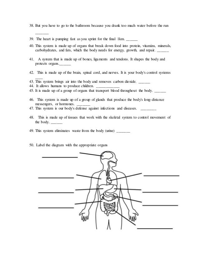 Human Anatomy Pre/Post Assessment