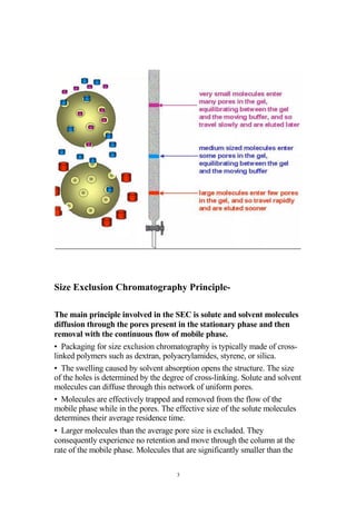 Size Exclusion Chromatography technique.pdf