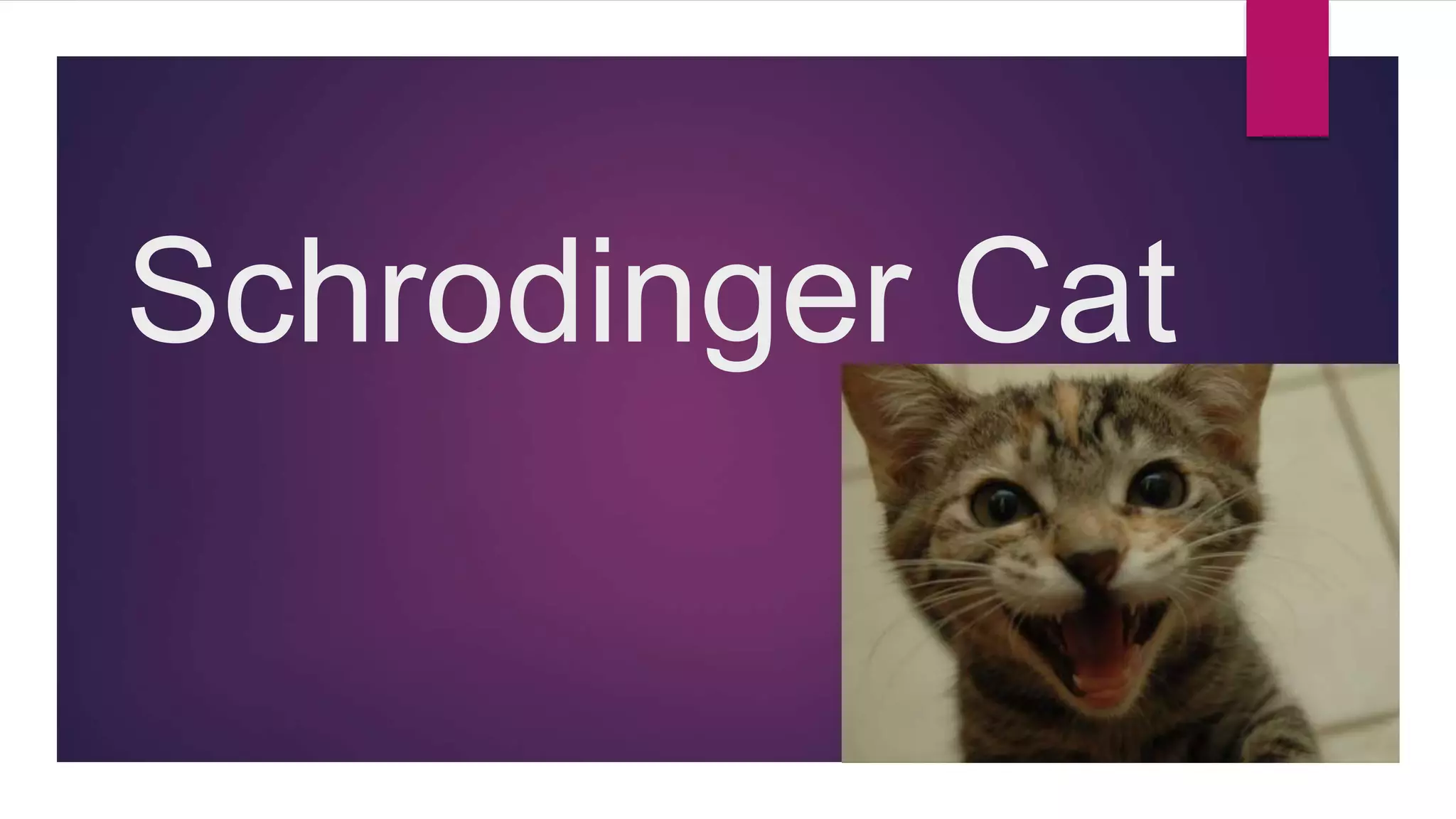 Schrodinger cat (Copenhagen & Many-worlds interpretation + phase-damping) | PPTX