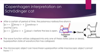 Schrodinger cat (Copenhagen & Many-worlds interpretation + phase ...