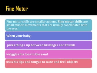 Fine motor skills | PPT