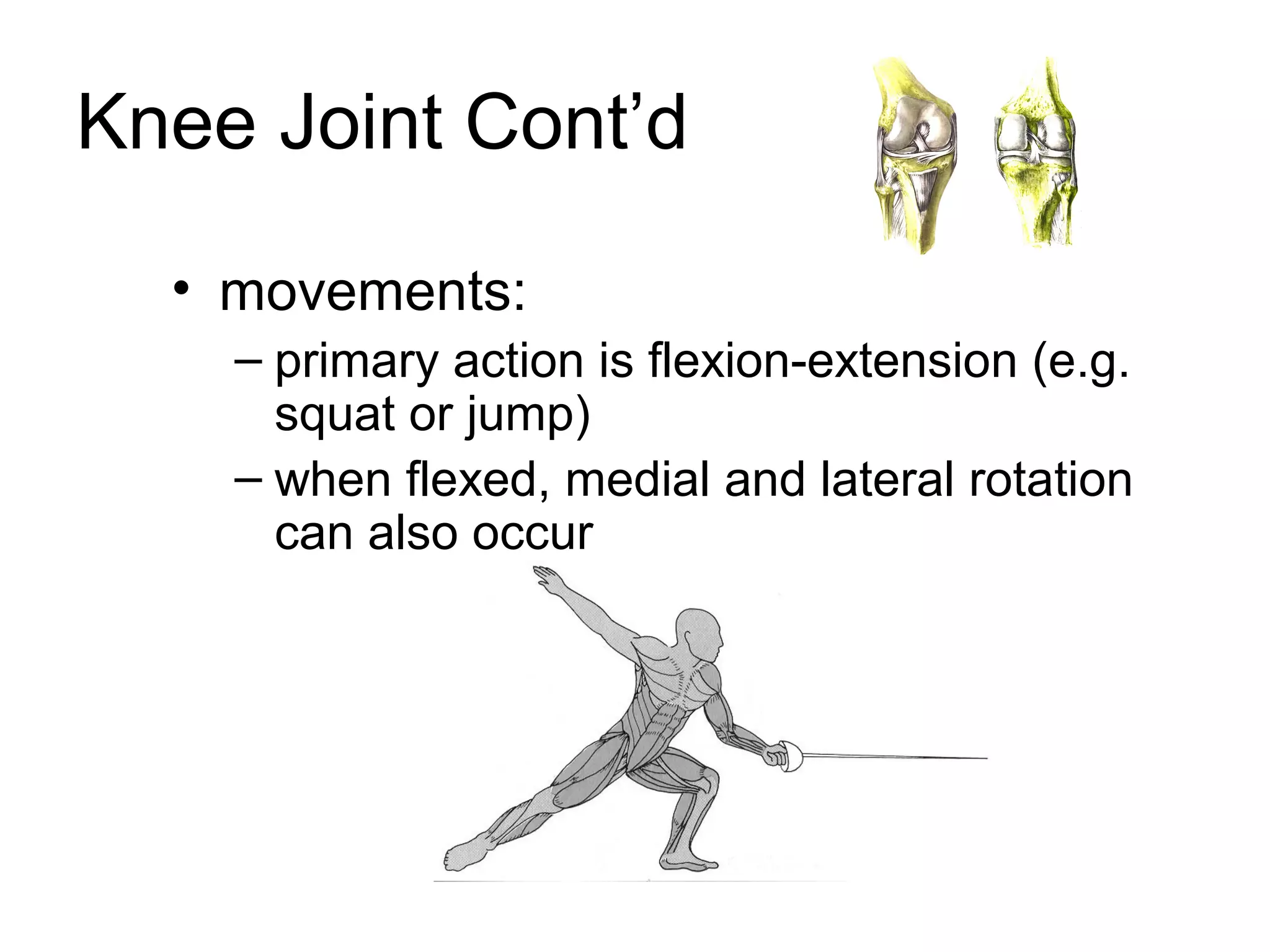 Joints of the human body | PPT