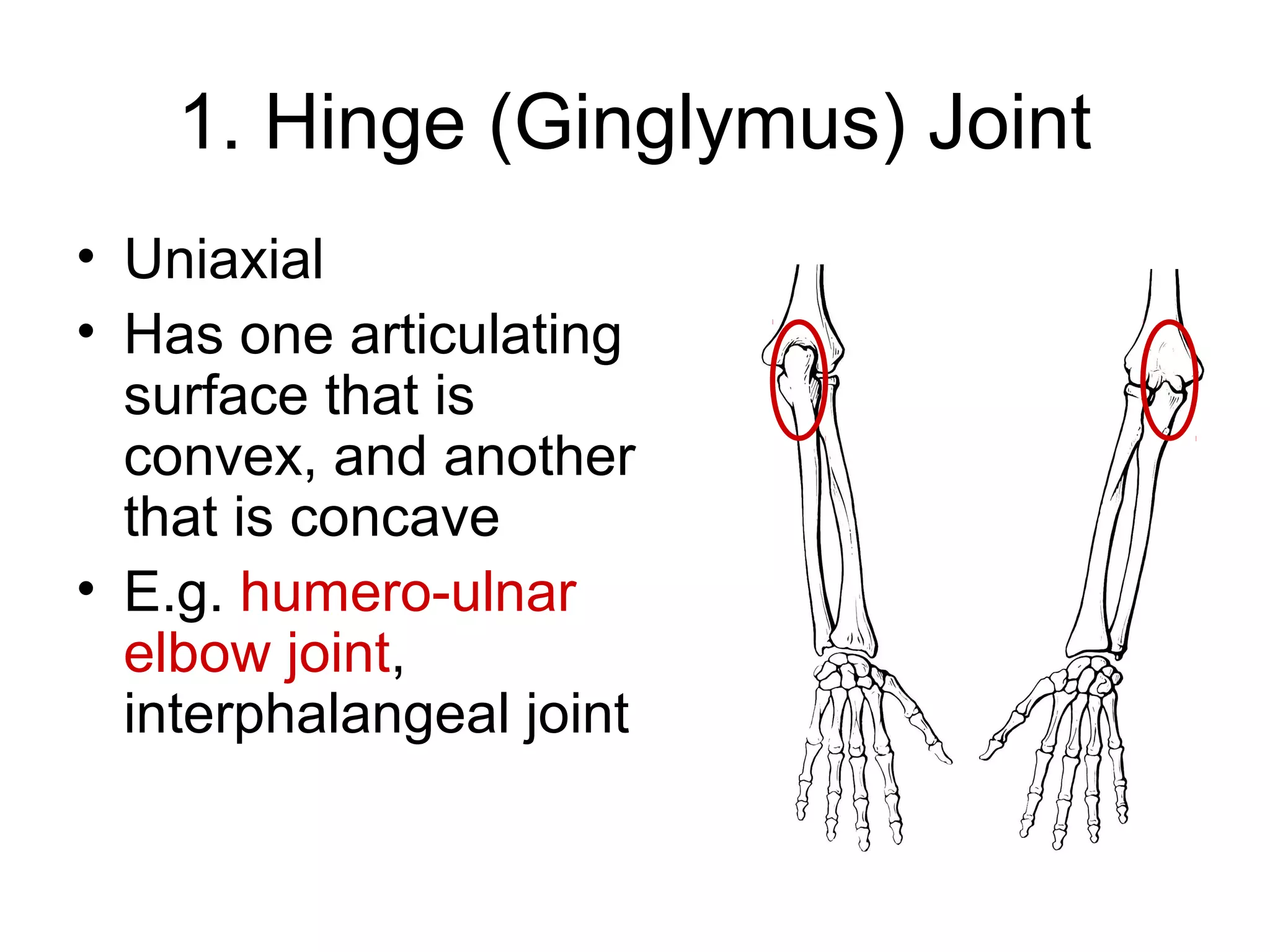 Joints of the human body | PPT