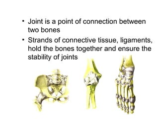 Joints of the human body | PPT