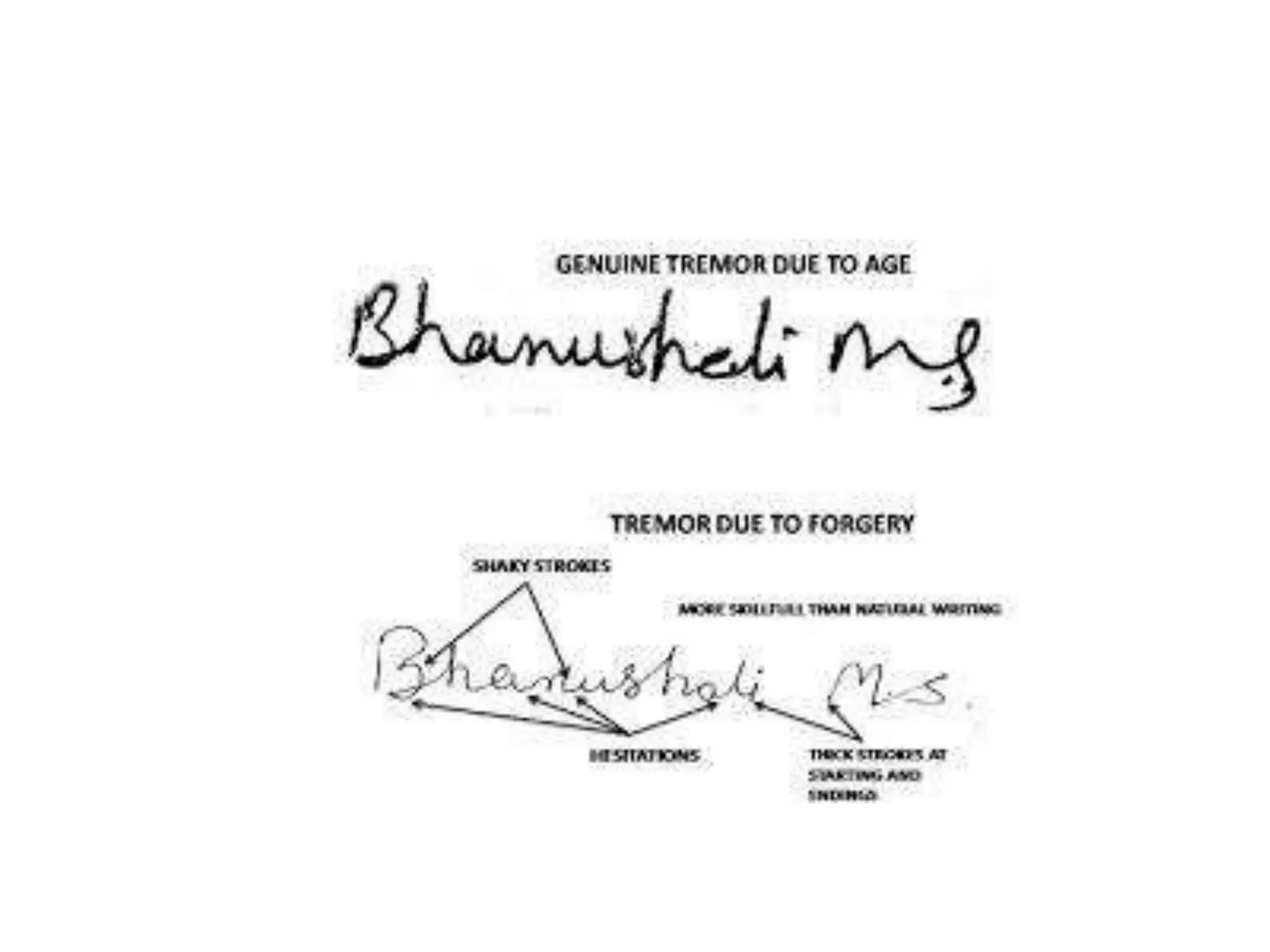 QD principles and handwriting characteristics.pptx