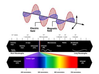 QED: Quantum Electrodynamics | PPTX