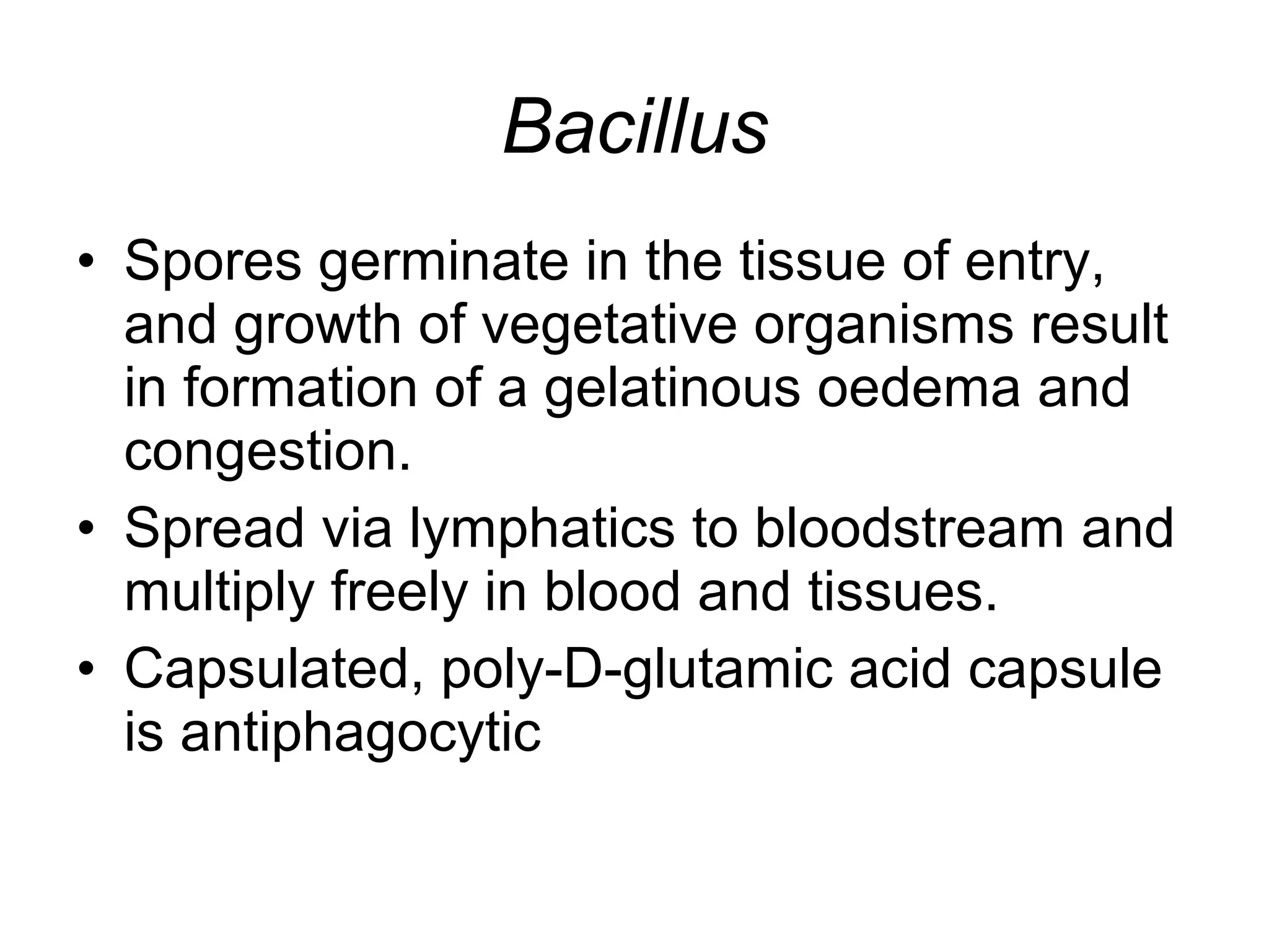 Spore forming bacteria | PPT