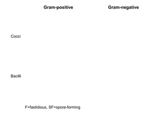Spore forming bacteria | PPT