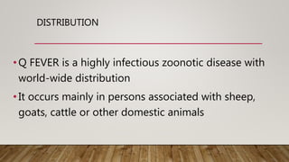 Q fever or QUERY FEVER | PPTX