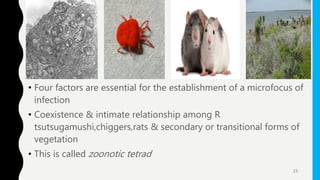 Q fever & scrub typhus | PPTX