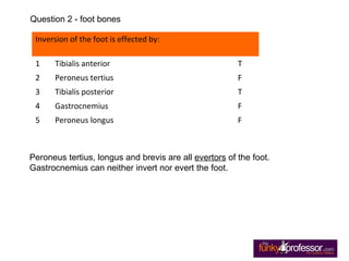 Exam Questions Foot Bones | PPT