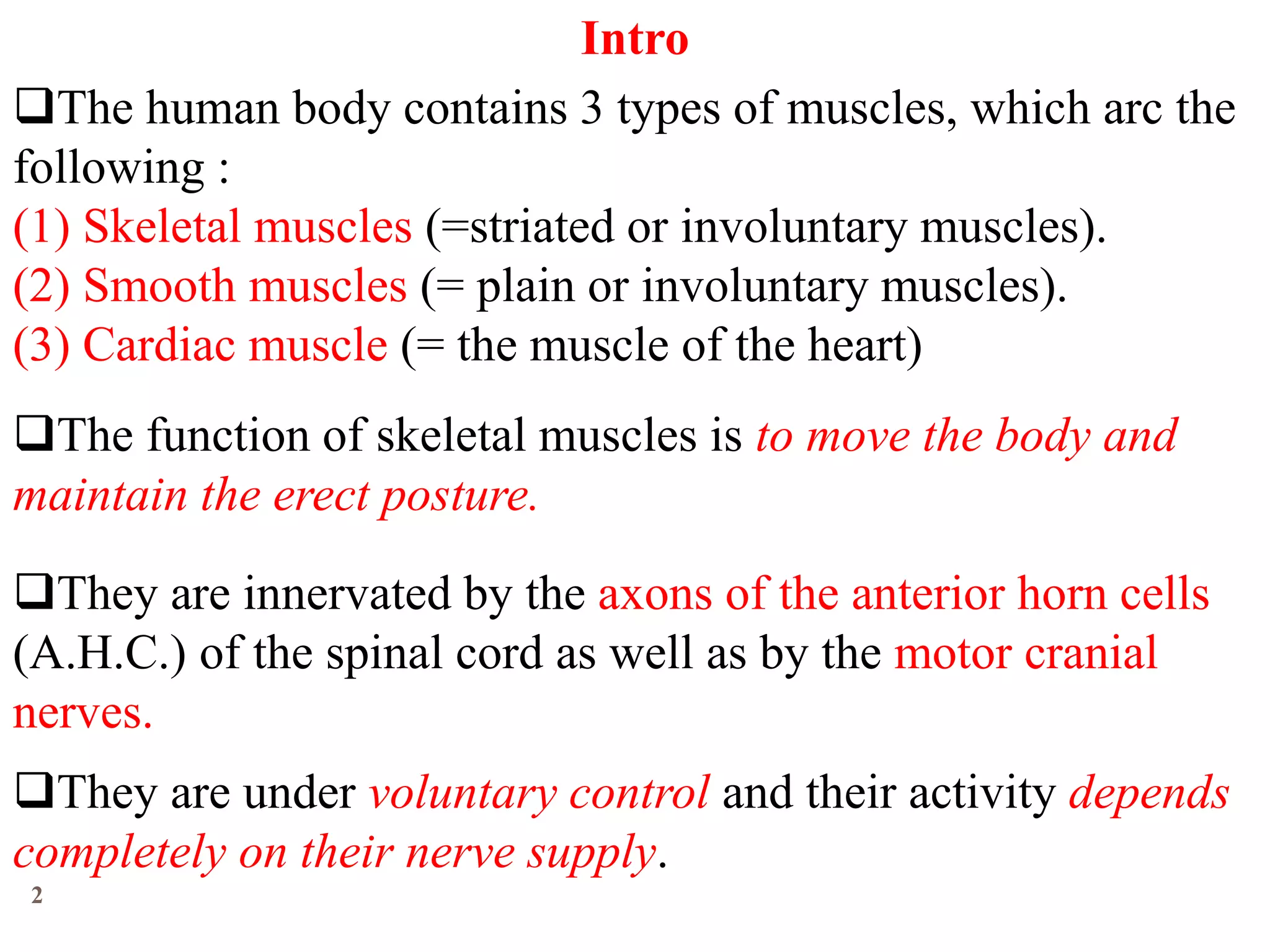 Excitable tissues skeletal_muscle | PPT