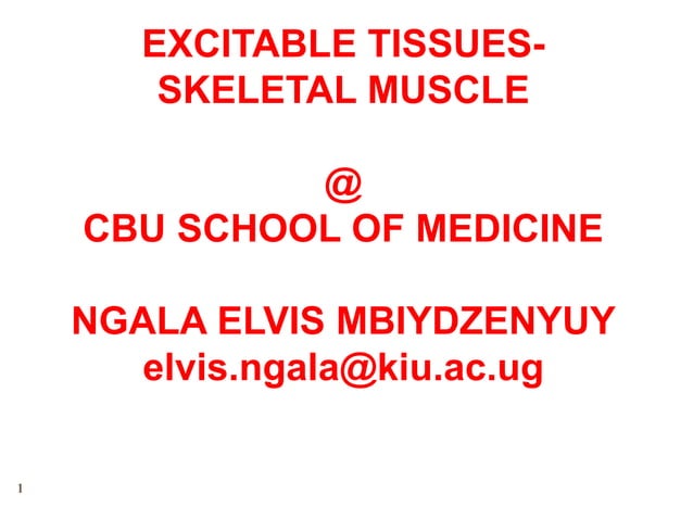Excitable tissues skeletal_muscle | PPT