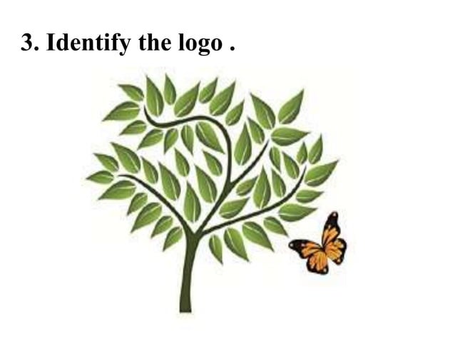 the terminal quiz | PPTX