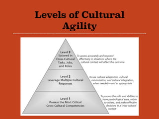 Cultural Agility: The Unfair Advantage? | PDF