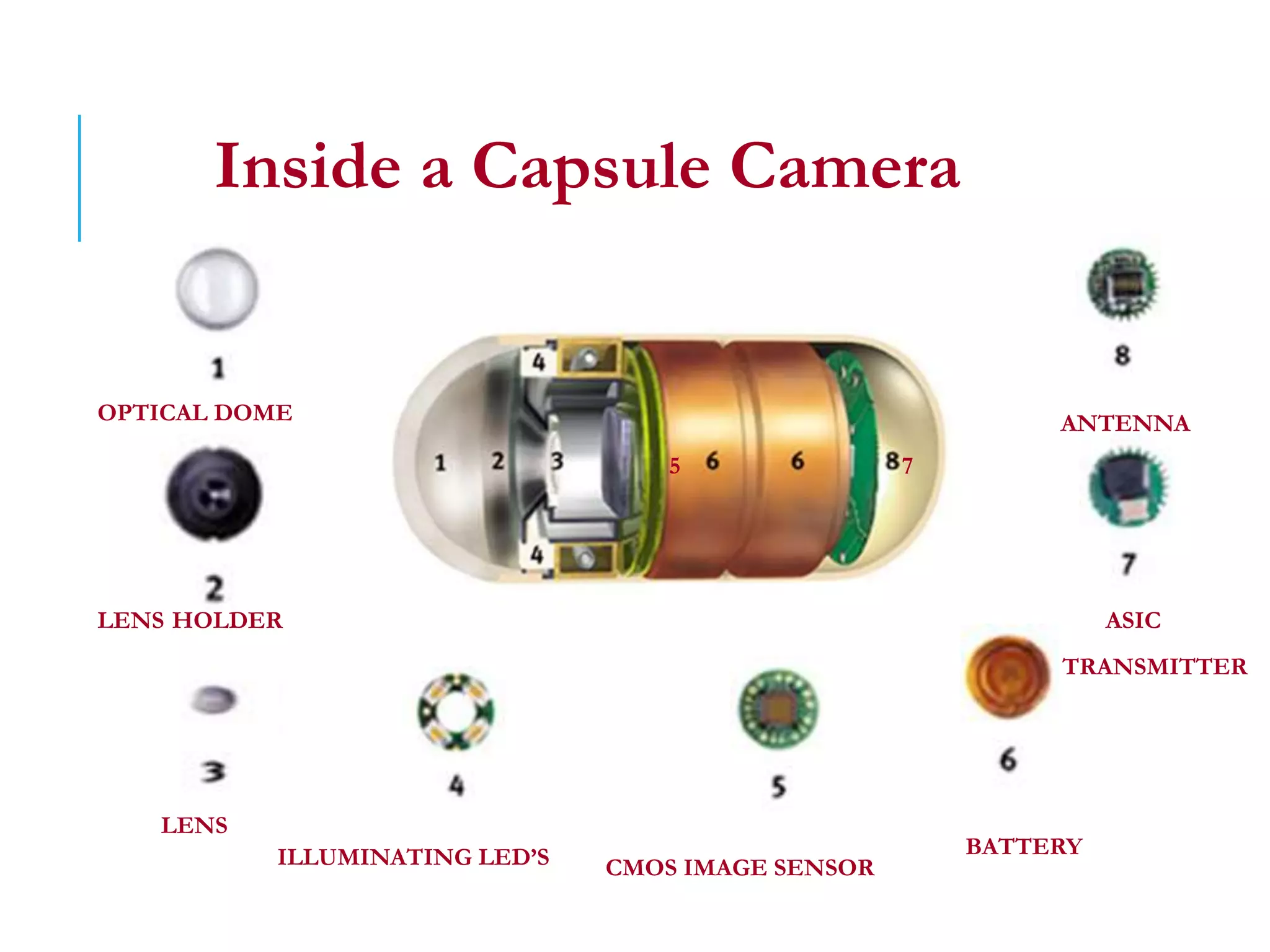 Pill camera | PPTX | Digestive Disorders | Diseases and Conditions
