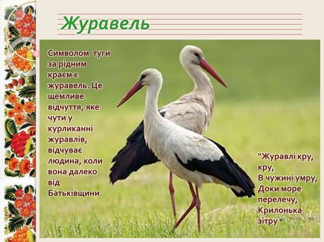 Natsionalni__simvoli__Ukrayini.pptx