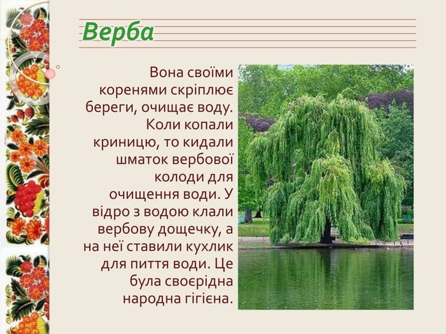 Natsionalni__simvoli__Ukrayini.pptx