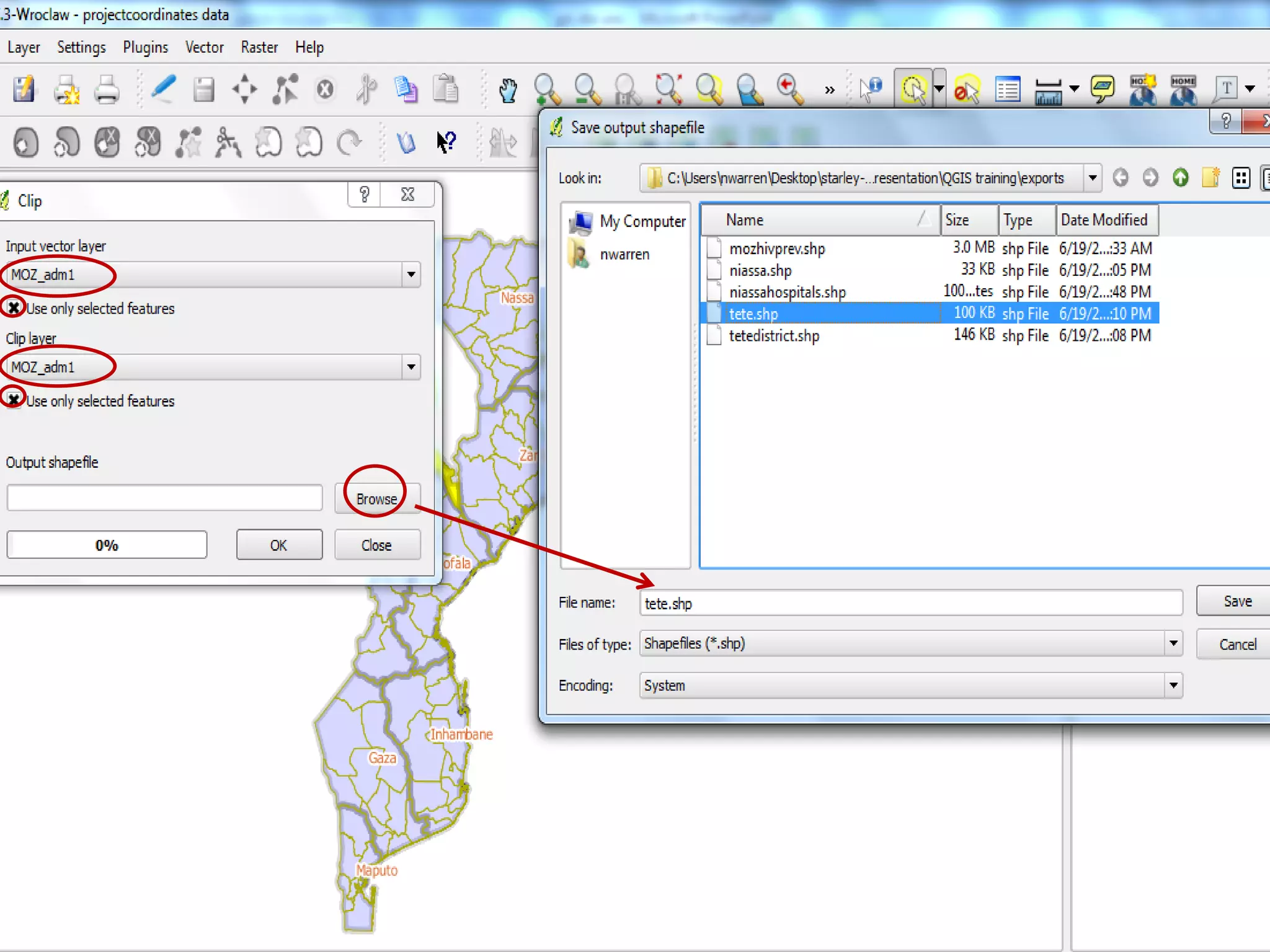 QGIS Module 4 | PDF
