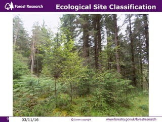 Decision support tools for forestry using open source software | PDF