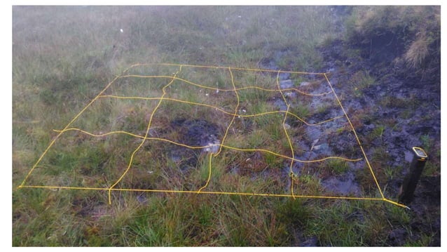 Using QGIS for ecological surveying | PDF